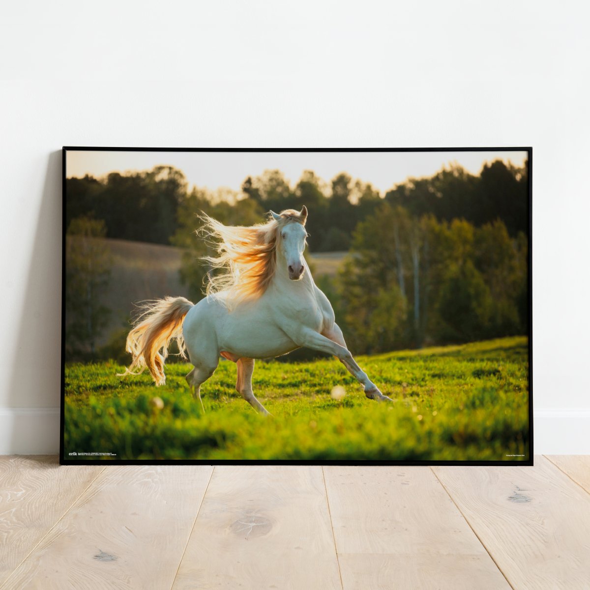 Hvit Hest Plakat | Supernerds | Norsk Nettbutikk